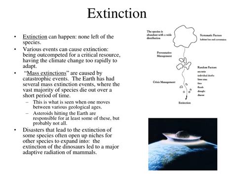 Ppt Basic Biology Ii Genetics And Evolution Powerpoint Presentation