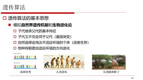 Python——遗传算法简介及其在二次分配中的运用（含详细源代码）二次分配问题 Csdn博客