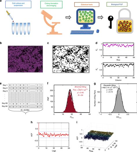 Randomness Of Biological Physically Unclonable Function Bio Puf A Download Scientific