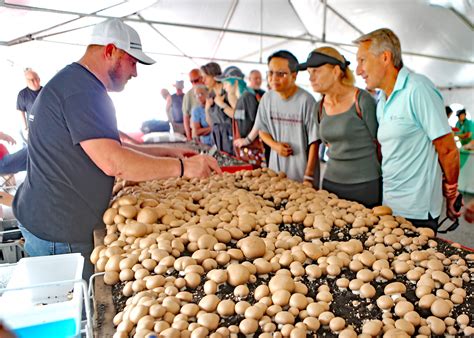 The Mushroom Festival Food Fun And Entertainment In Kennett Square
