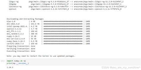 解决方案：在jupyter Notebook环境下安装不了numpyjupyter Notebook安装numpy Csdn博客
