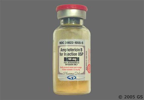 What Is Amphotericin B Goodrx
