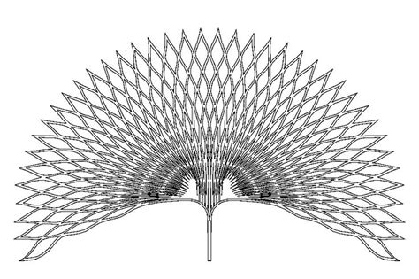 Stylised Peacock Tail