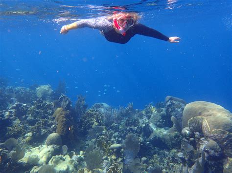 Snorkel Hopping Adventure Roatan Ocean Adventures Roatan Snorkel