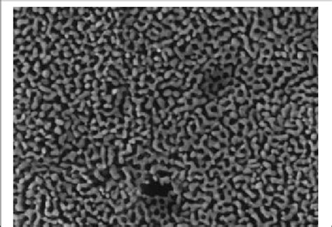 Sem Images From Top View Of Al Vdoped Nano Tubular Tio 2 Layers After