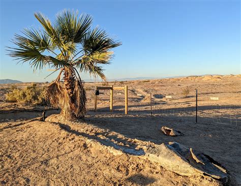 Can You Shoot In Ocotillo Wells At Bradley Briseno Blog