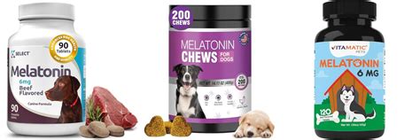 Top 5 Dog Melatonin Supplements Reviews And Buying Guide