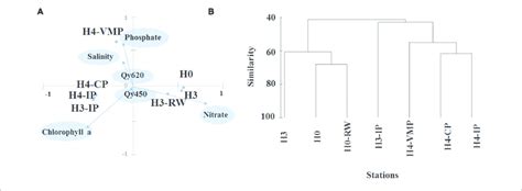 A Statistical Multivariate Principal Component Analysis To Evaluate
