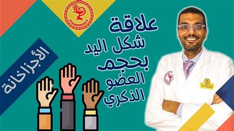 علاقة شكل اليد بحجم العضو الذكري Youtube