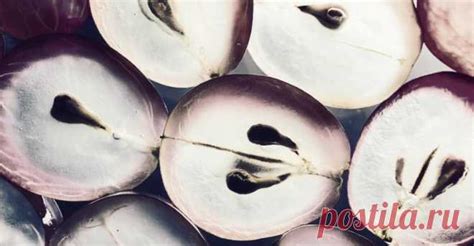 Эти популярные фрукты могут предотвратить слабоумие и продлить жизнь Лечебные растения Постила