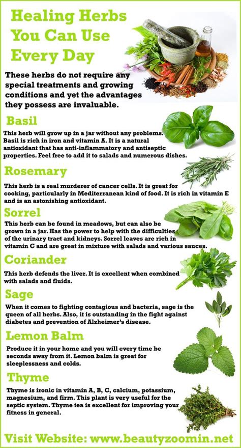 Healing Herbs You Can Use Every Day Easy To Grow | Healing herbs, Herbs ...