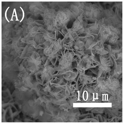 A Molybdenum Doped Ironnickel Layered Arrayfoam Nickel Based Composite Electrode Material And