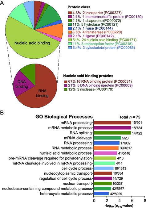 Functional Classification Of The Whole Cell Fus Ddit3 Interactome A
