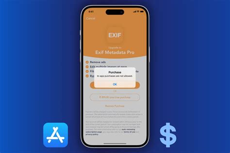 in app purchase