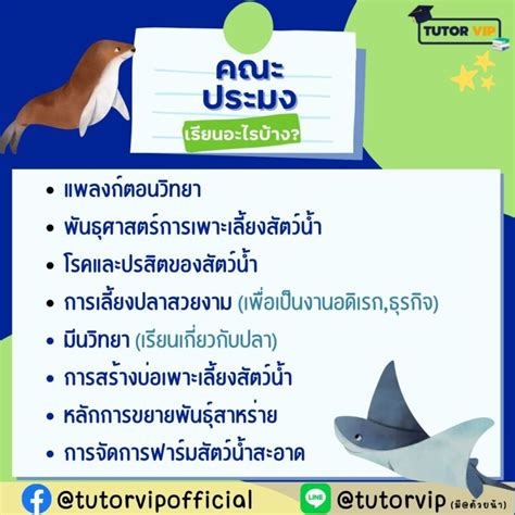 แนะนำคณะประมง คณะนี้เรียนอะไรบ้าง Tutor Vip
