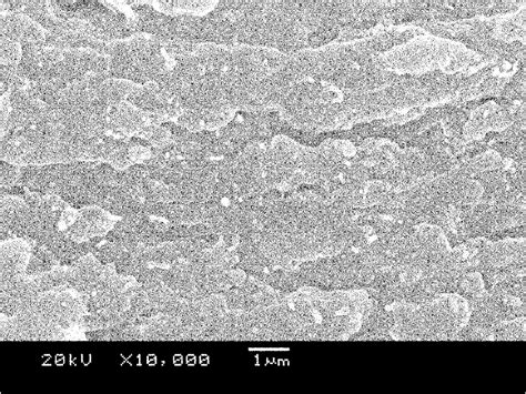 Poly Arylene Ether Nitrile Carbon Nanotube Thin Film And Preparation Method Thereof Eureka