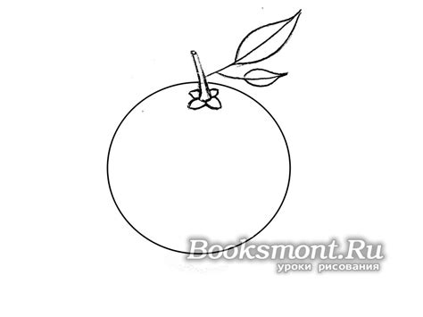 Как нарисовать апельсин карандашом поэтапно для начинающих