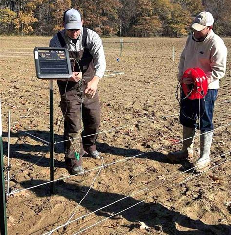 division of ag testing wildlife exclusion fences at pine tree research station wynne progress