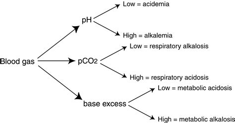 Summary Of Blood Gas Analysis Eclinpath