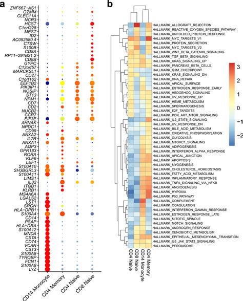 Downstream Analyses Of ScMDC In BMNC Dataset Differential Expression