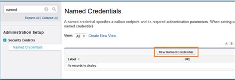 Named Credentials Setup Apex Callout Sfdcfanboy