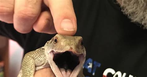 One Pissed Off Monitor Album On Imgur