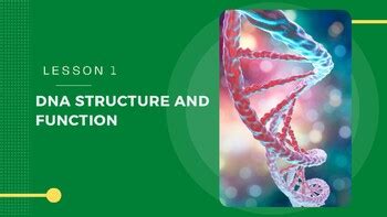 DNA Structure Function BC Curriculum Grades By Science BC