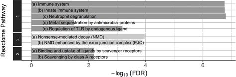 biological pathways in the scrna seq dataset download scientific diagram