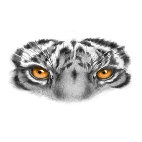 Eye Of The Tiger Tattoo Realistic Temporary Tattoos Tattoo Icon Tattooicon