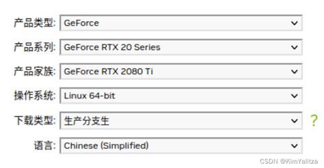 在linux服务器中安装显卡驱动linux安装显卡run驱动 Csdn博客