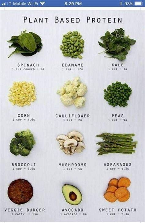 High Protein Vegetables Artofit