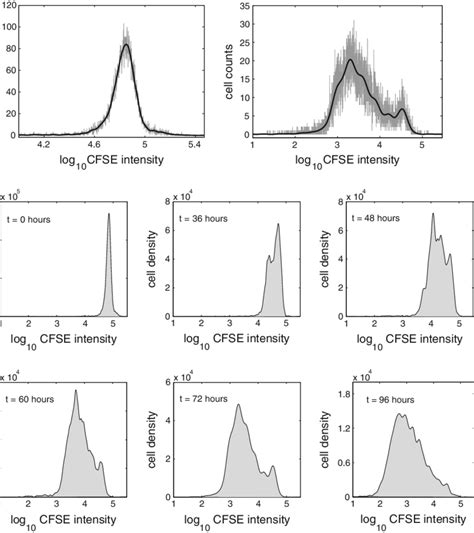 Data On CFSE Labelled T Cell Dynamics First Row The Original Noisy Download Scientific