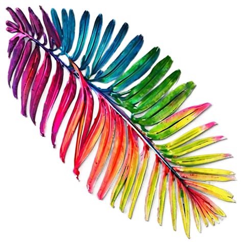 Download Colorful Palm Leaves Png Yoy