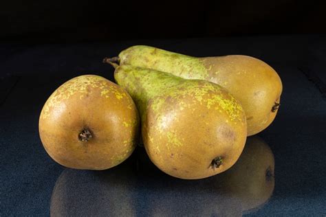 잘 익은 배는 반사와 함께 테이블을 파란색으로 설정하면 놓습니다 0명에 대한 스톡 사진 및 기타 이미지 0명 3가지 개체 가을 Istock