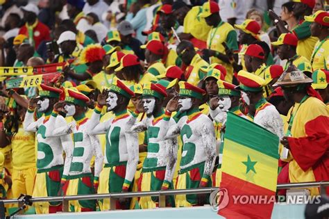 세네갈 응원하는 축구팬들 연합뉴스