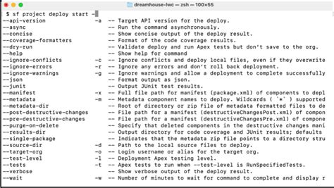 Autocomplete Salesforce Cli Commands And Flags Salesforce Cli Setup