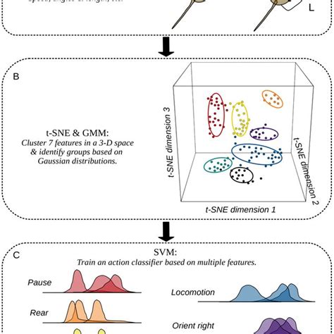 Flow Chart Of Our Proposed Algorithm B Soid A Obtain Physical