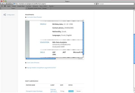 Html Flexpaper Inside Iframe Size Issue Stack Overflow