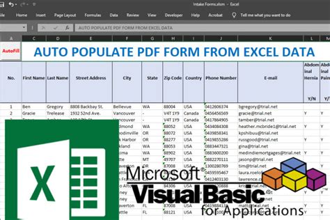 Automation For Filling Pdf Forms From Excel Data With Excel Vba Macros For 30 Freelancer