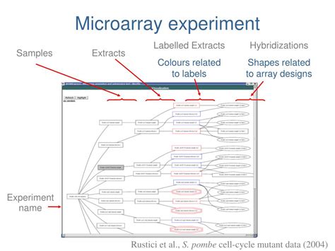 Ppt Transcriptomics Powerpoint Presentation Free Download Id 4269813