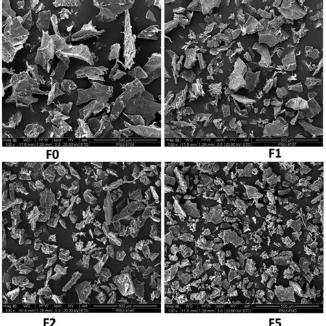 Scanning Electron Micrograph Of Microcapsules Showing The Shape And Download Scientific