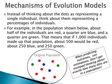 Mechanisms Of Evolution