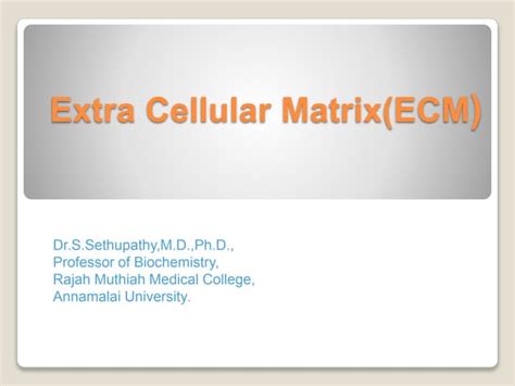 Extra Cellular Matrix Ecm Pptx