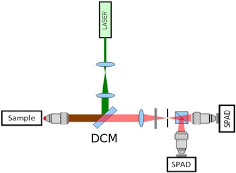 Fluorescence Correlation Spectroscopy Setup Download Scientific Diagram