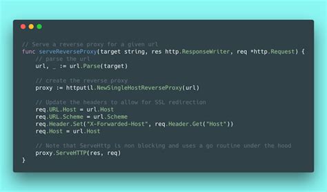 Writing A Reverse Proxy In Just One Line With Go Hackernoon