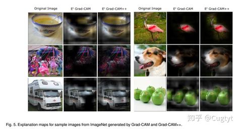【论文翻译】grad Cam，可视化卷积的升级 知乎