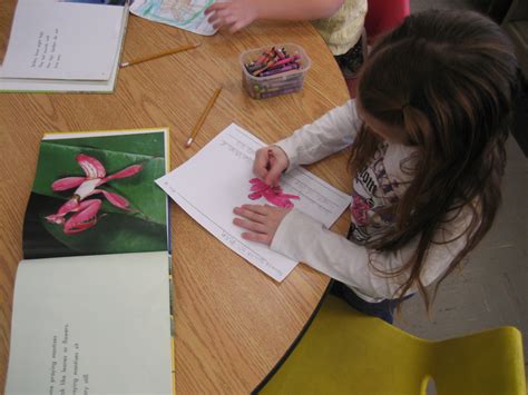 Garden City Library Goings On Grade 1 Bug Research