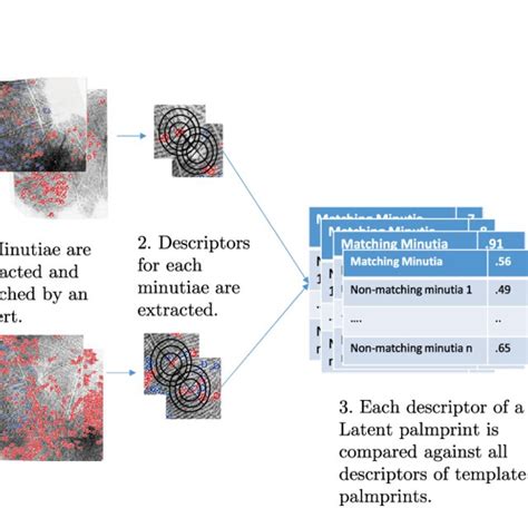 Graphical Representation Of The Evaluation Methodology Download
