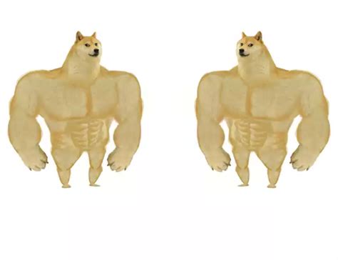 Buff Doge Vs Buff Doge Meme Generator