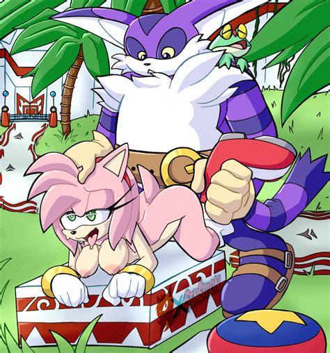 Rule 34 Absurd Res Ambiguous Penetration Amy Rose Anthro Big The Cat